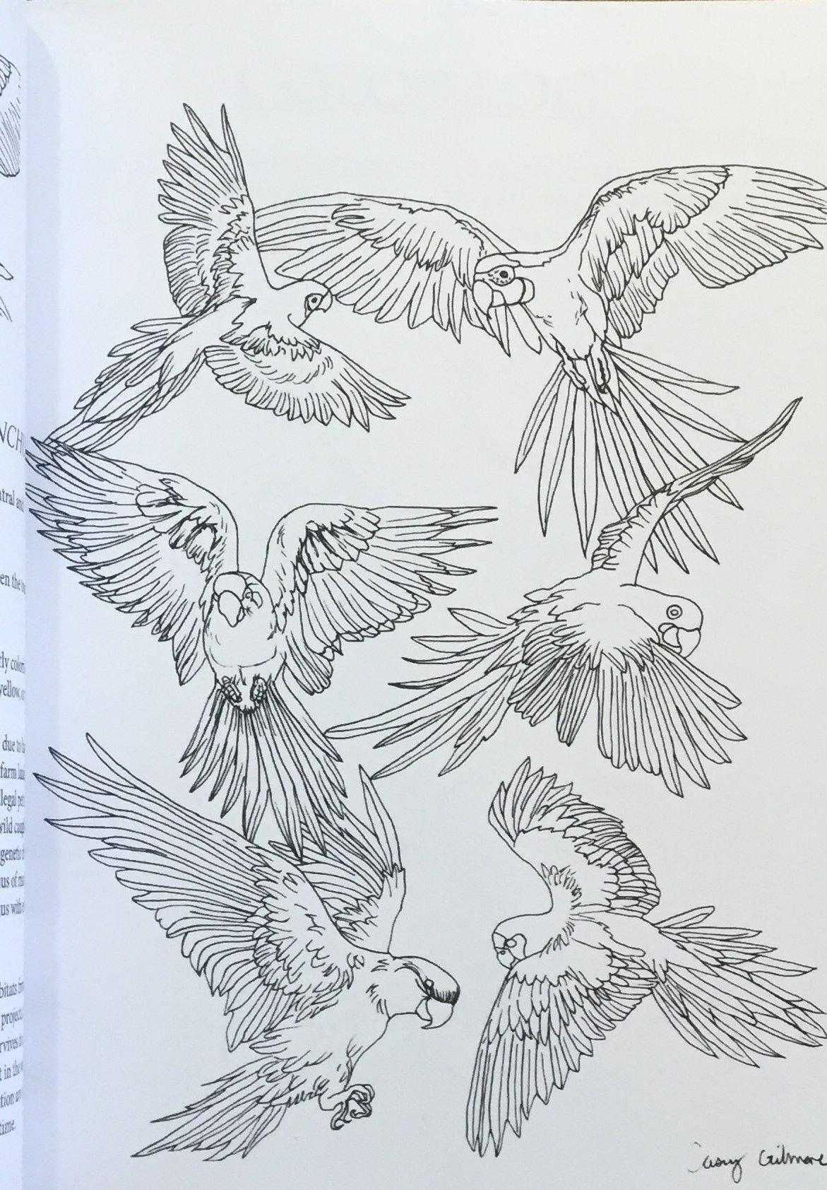 Endangered Coloring Book of Endangered Species Around the World ...