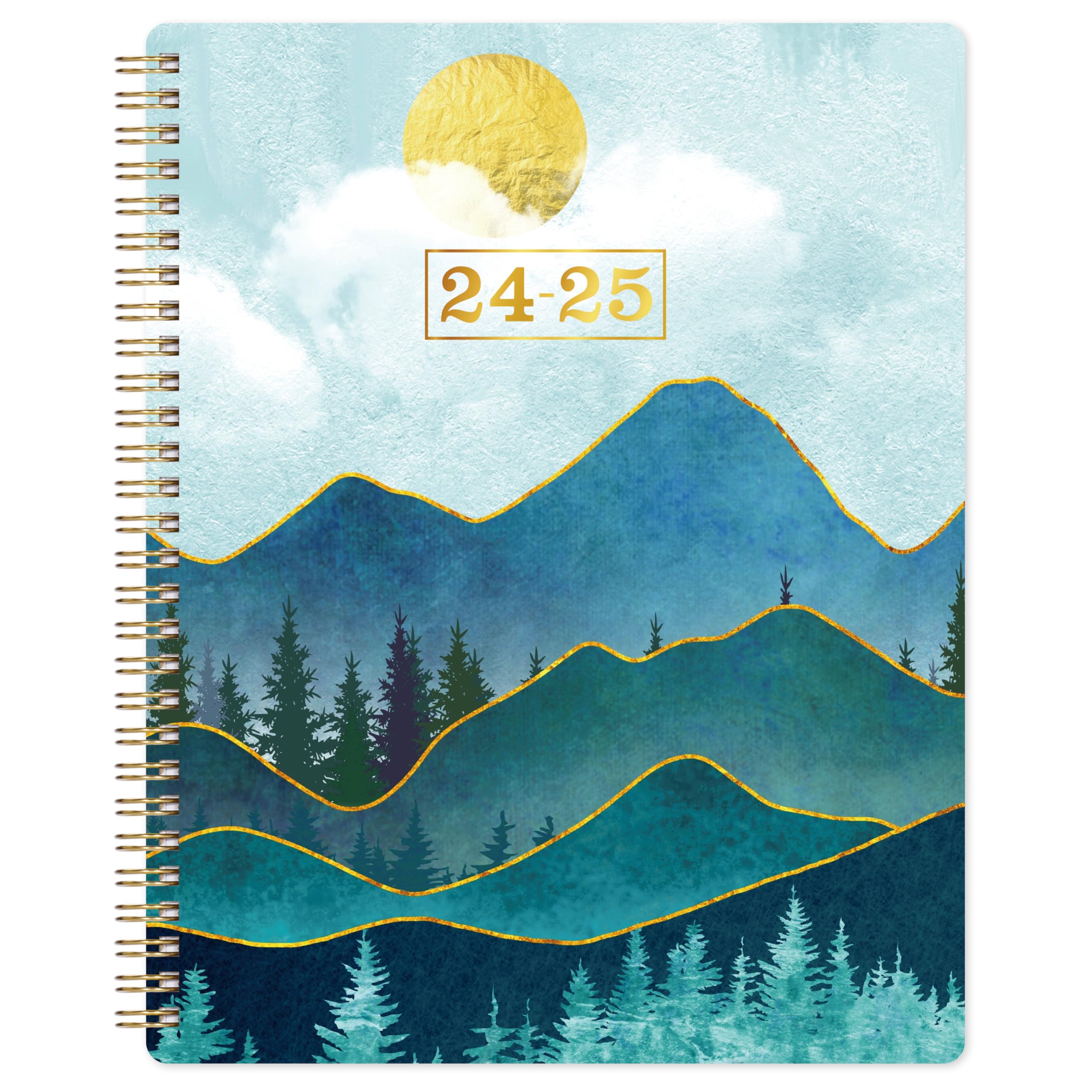 Buy Planner 2024-2025 - Jul. 2024 - Jun. 2025, Academic Planner 2024 ...