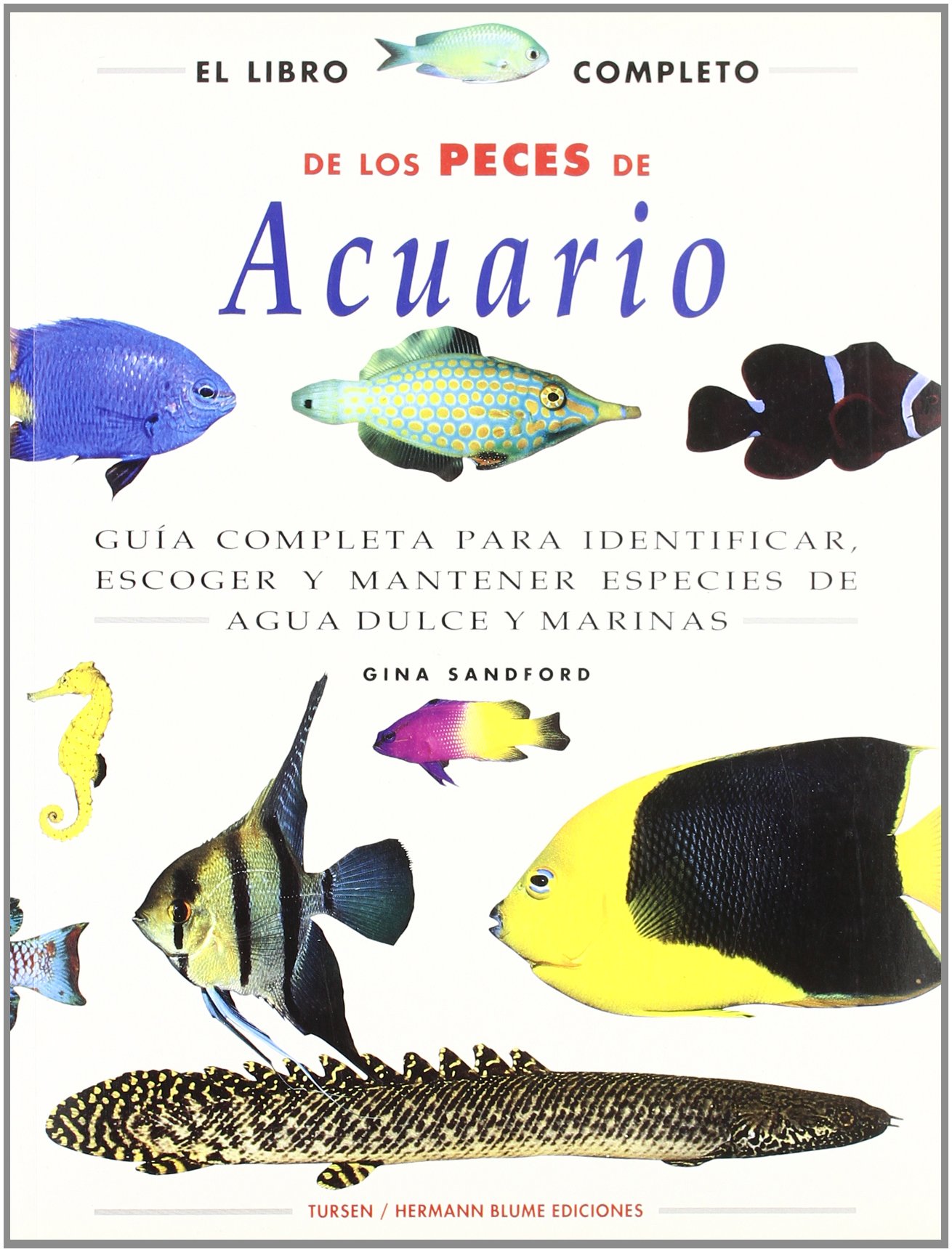 Especies De Peces De Agua Dulce Para Acuarios