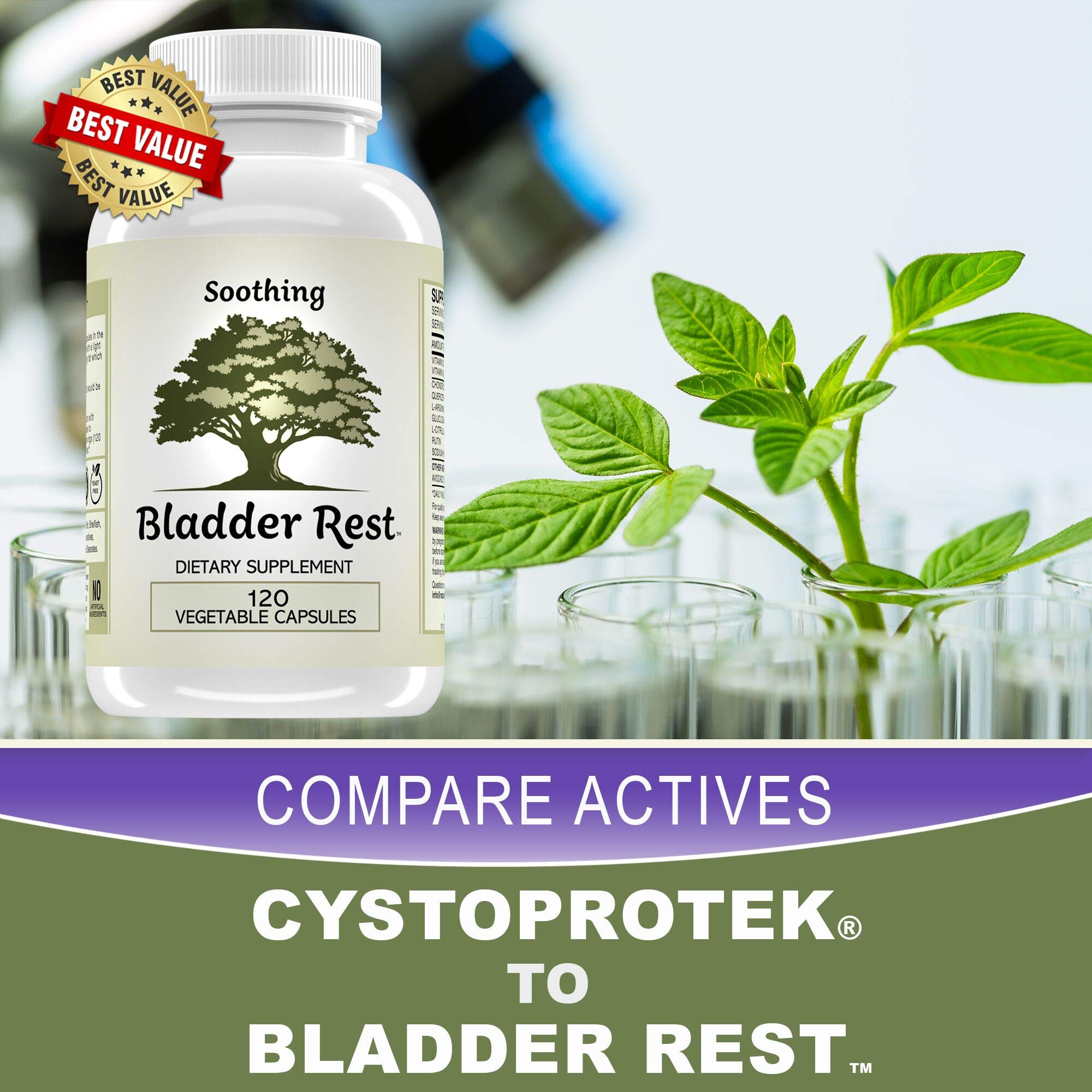 Bladder Rest - Next Generation Bladder Health Formula Designed to ...