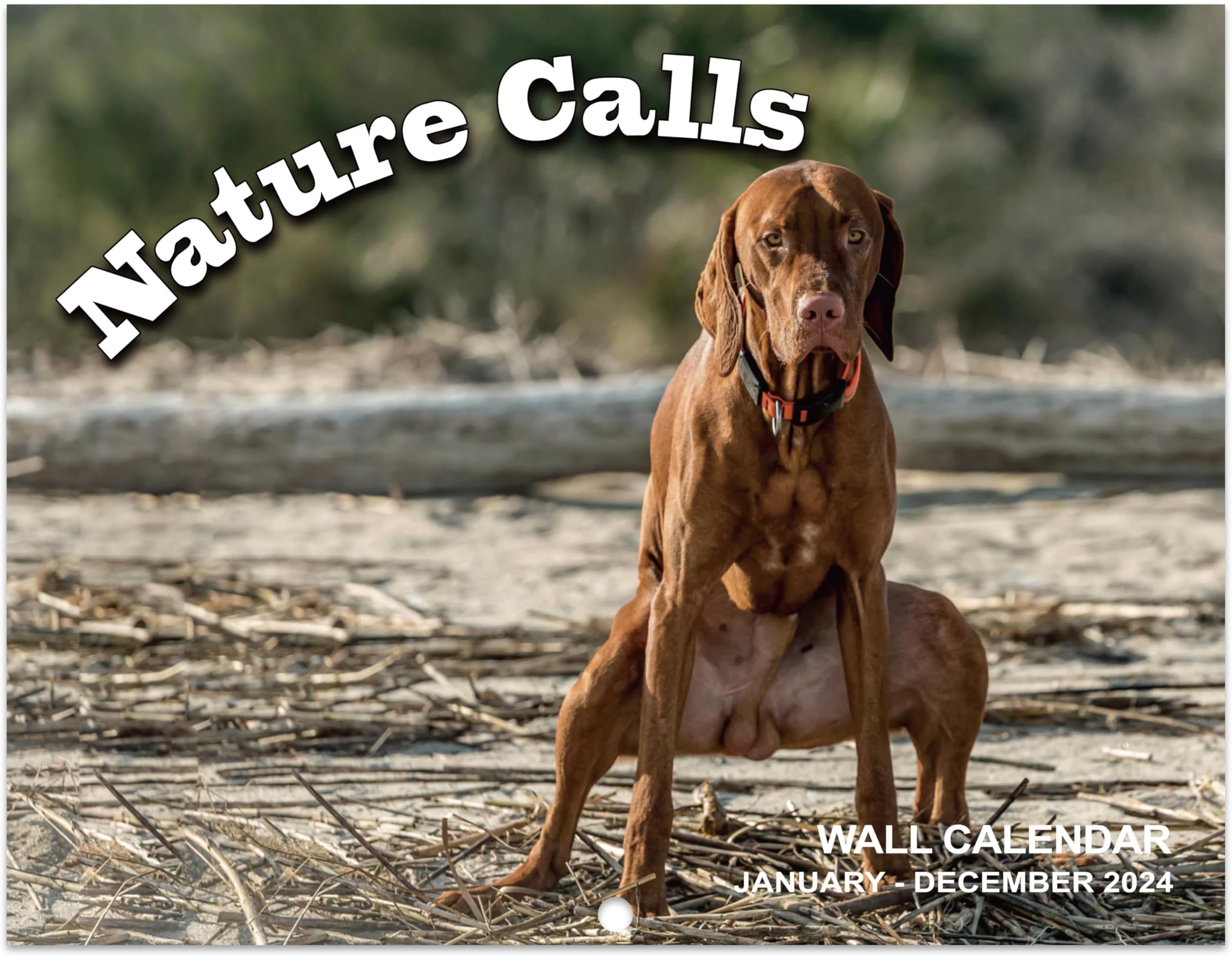 Amazon.com: Wild Animals Pooping Calendar 2025 Wall Poop Monthly ...