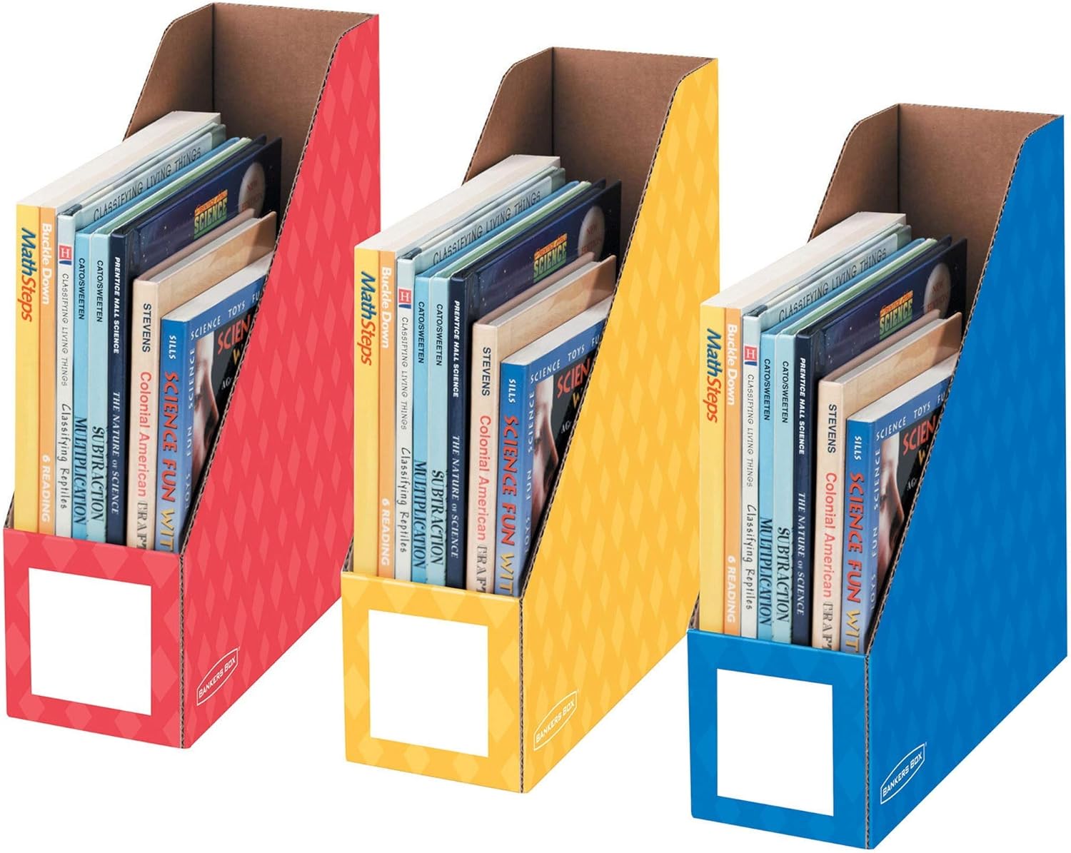 Amazon.com: Fellowes 3381701 Magazine File Holders LTR 4-Inch x11-Inch ...