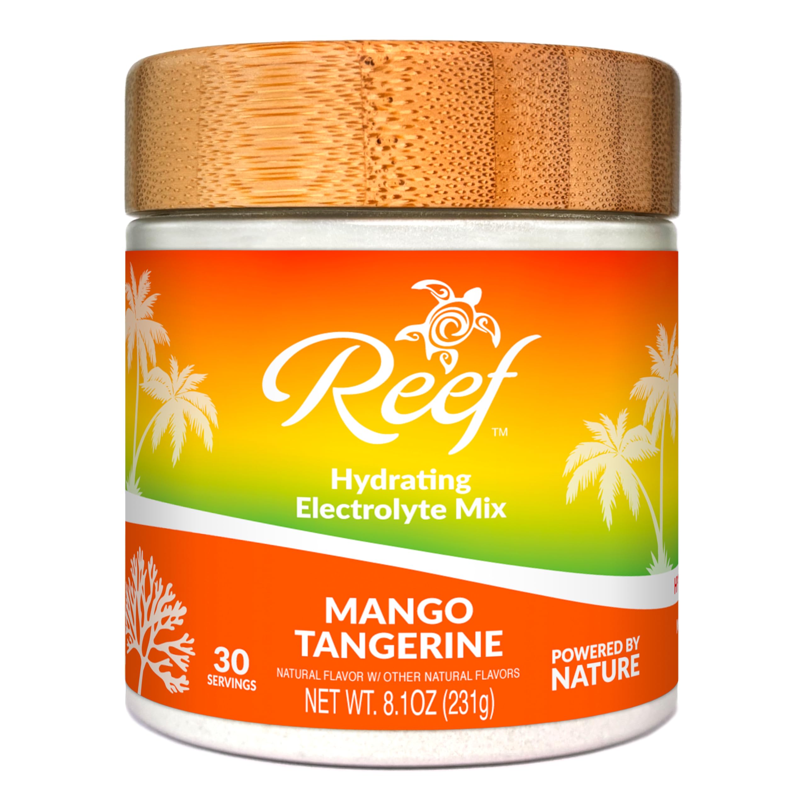 Amazon.com: Reef Replenish Hydrating Electrolyte Drink Mix - Mango ...