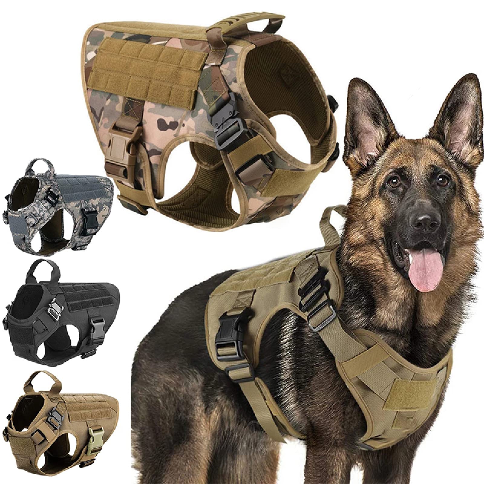 K9 ジャーマンシェパードの子犬 7,956 K9 Stock Photos,