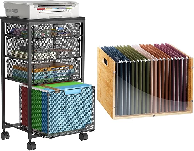 Amazon.com : Sbanmao Rolling File Cabinet Cart, Clear Acrylic File Box ...