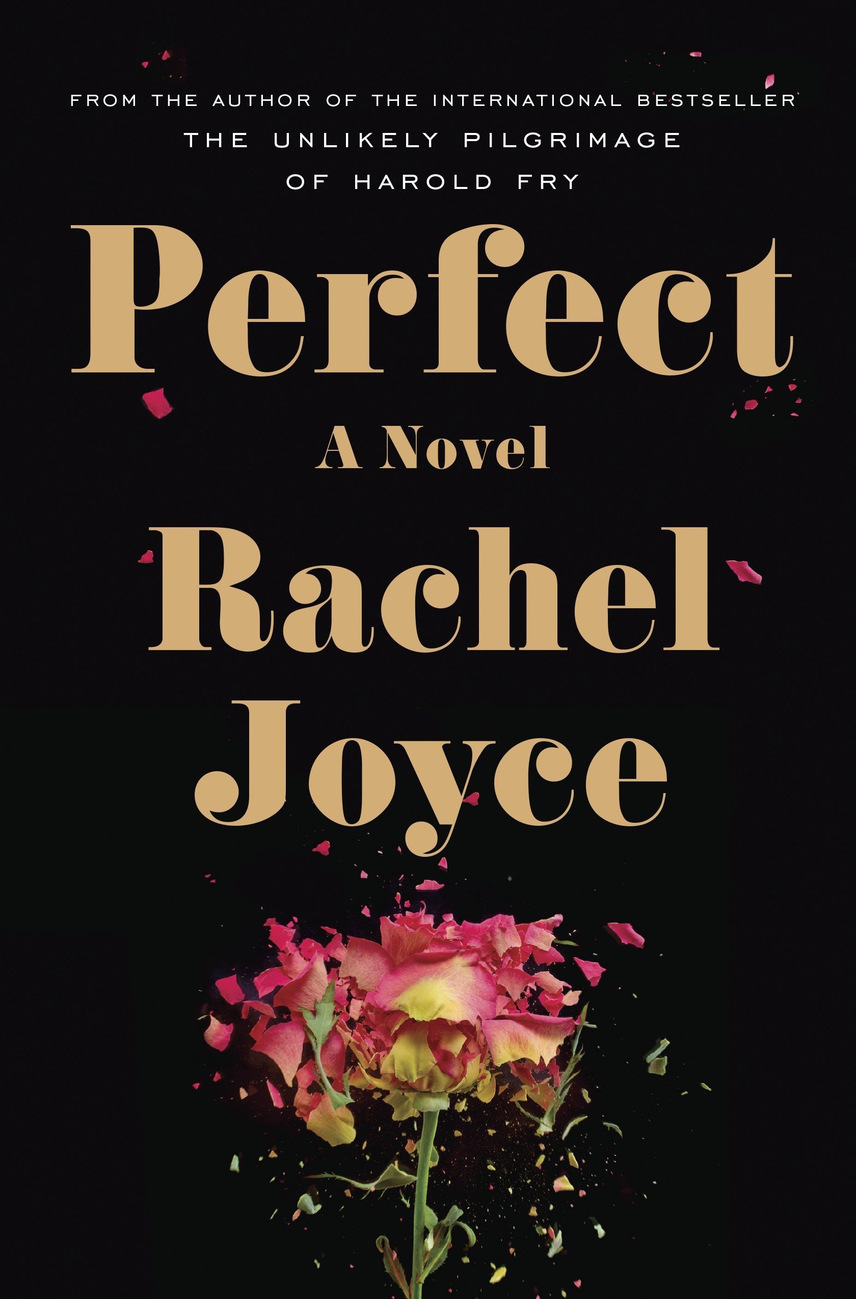 Perfect: Rachel Joyce: 9780812999006: Amazon.com: Books