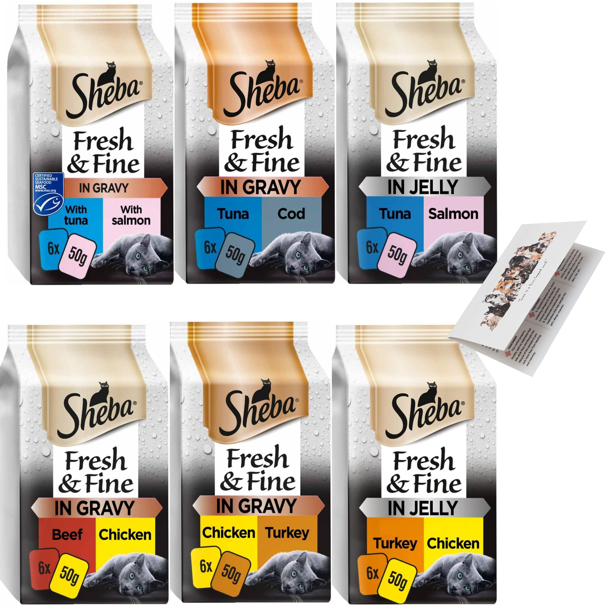 Fresh And Fine Wet Cat Food Bundle With Salmon Tuna | Desertcart INDIA