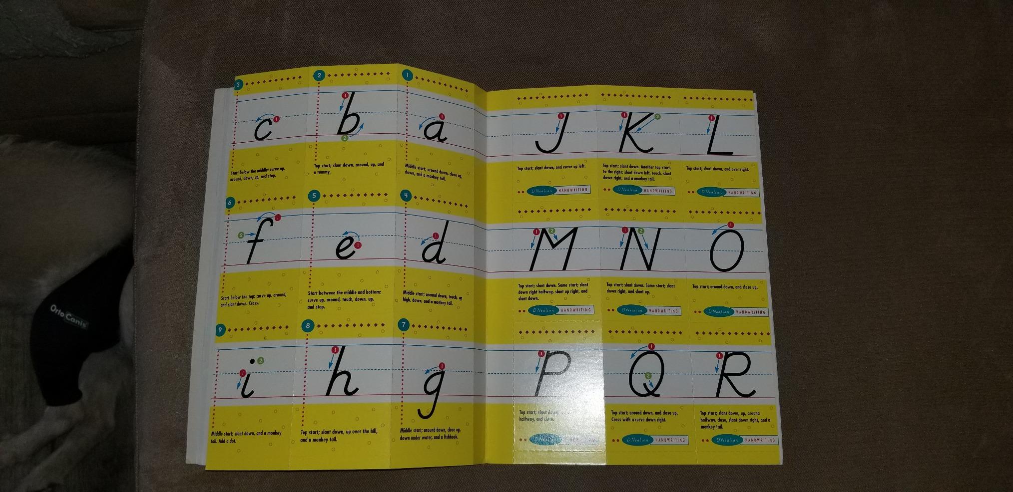 D'Nealian Handwriting ABC Book: Handwriting Practice and Coloring Book ...