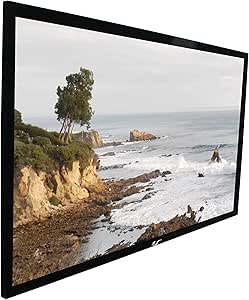 Amazon.com: Elite Screens 135" Diagonal, Sable Frame Series High Gain ...