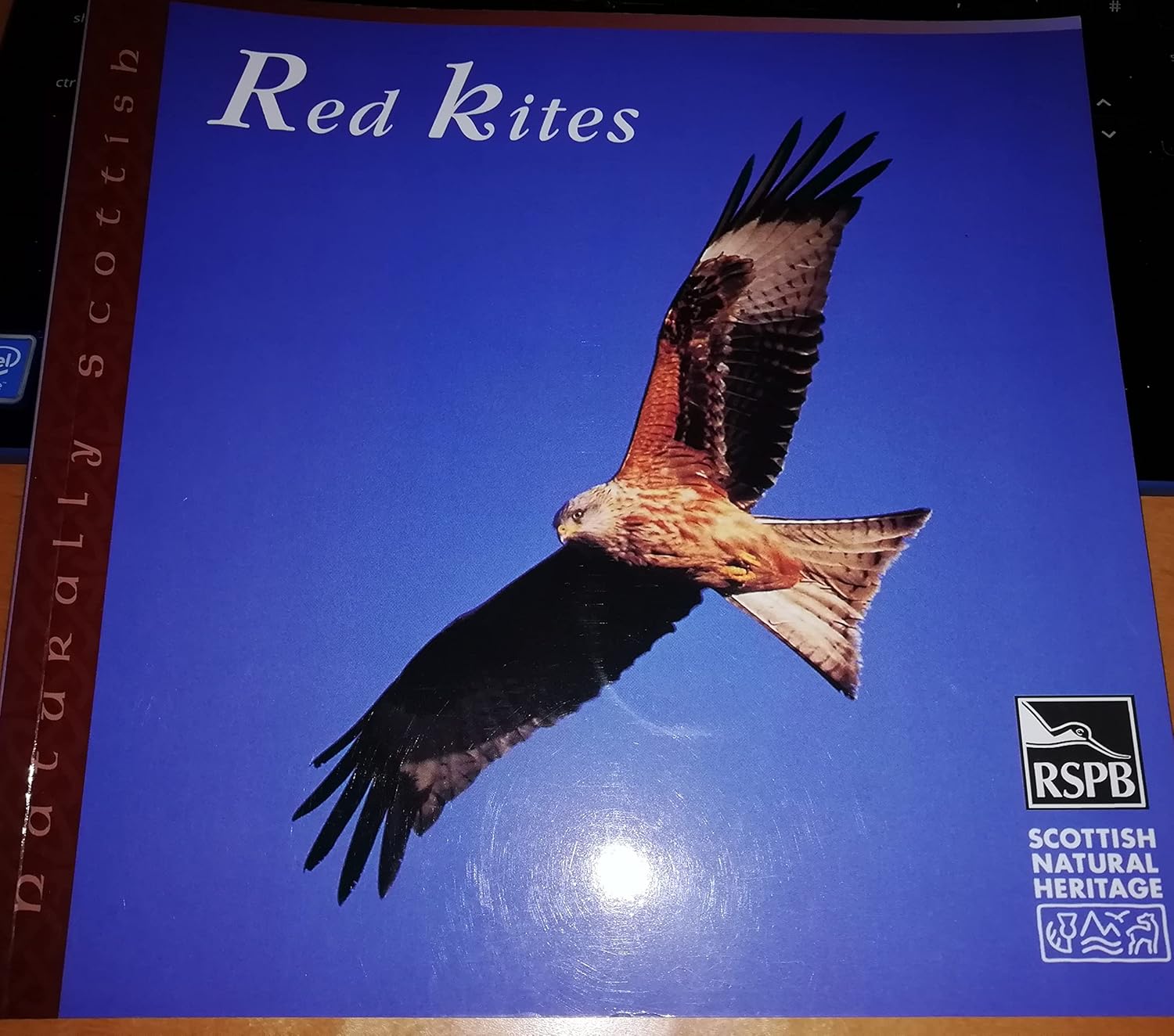 Red Kites: David Minns, Doug Gilbert: 9781853970610: Amazon.com: Books