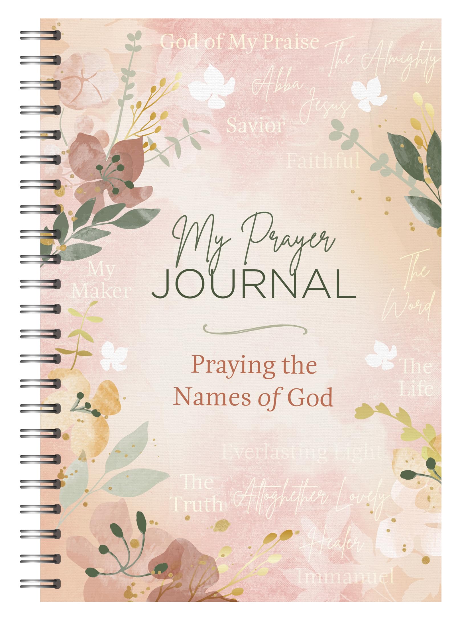 My Prayer Journal: Praying the Names of God: Blackmore, Leanne ...