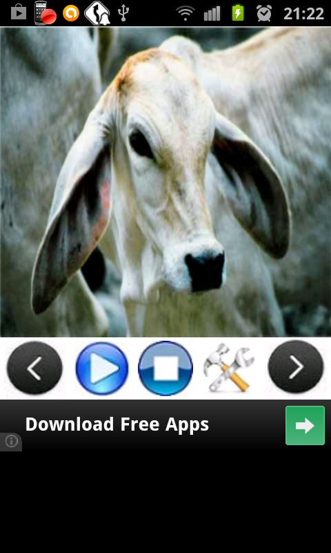 Farm Animals sounds - App on Amazon Appstore