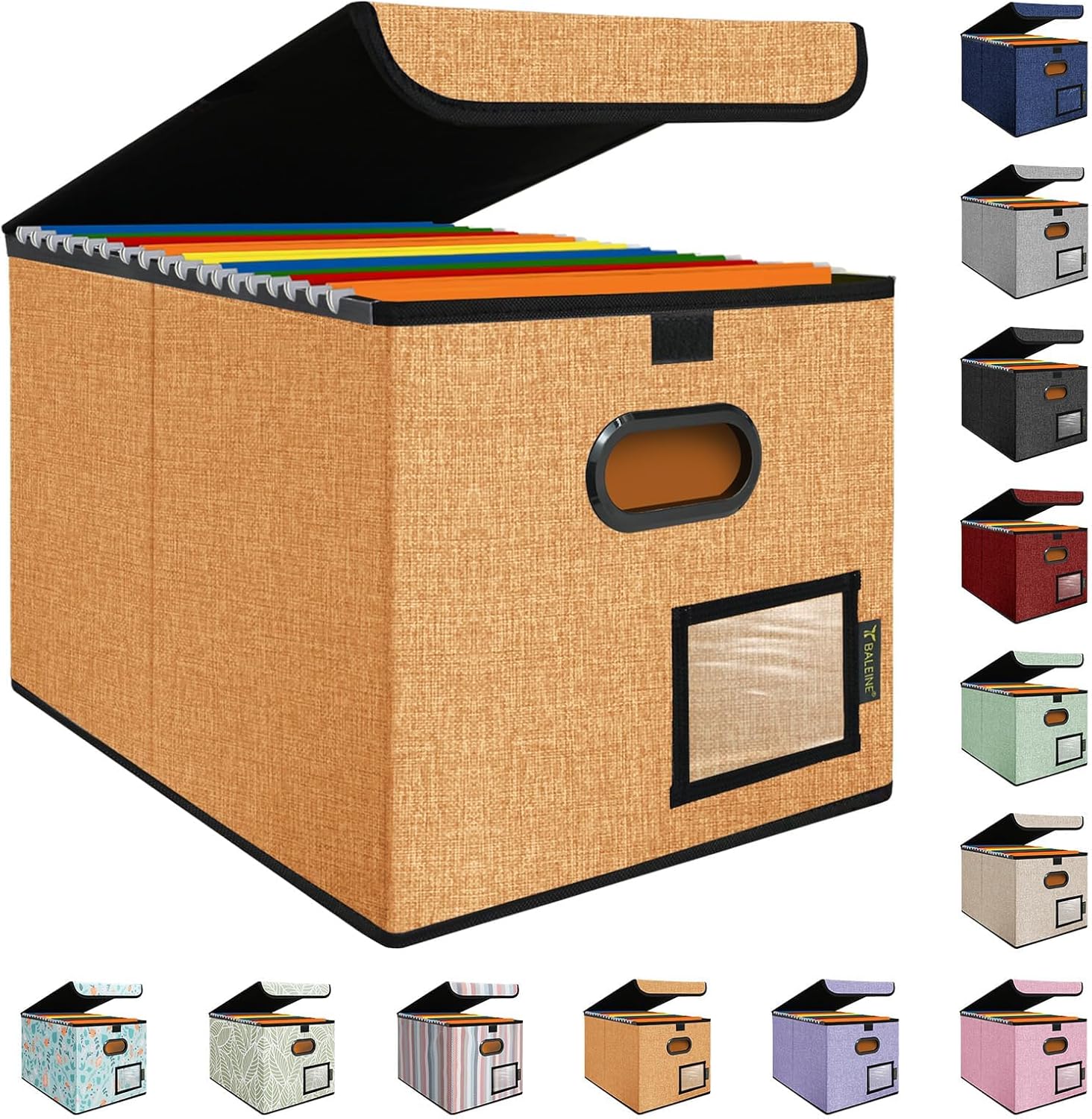 Amazon.com: BALEINE File Organizer Box with Lid, Collapsible File ...