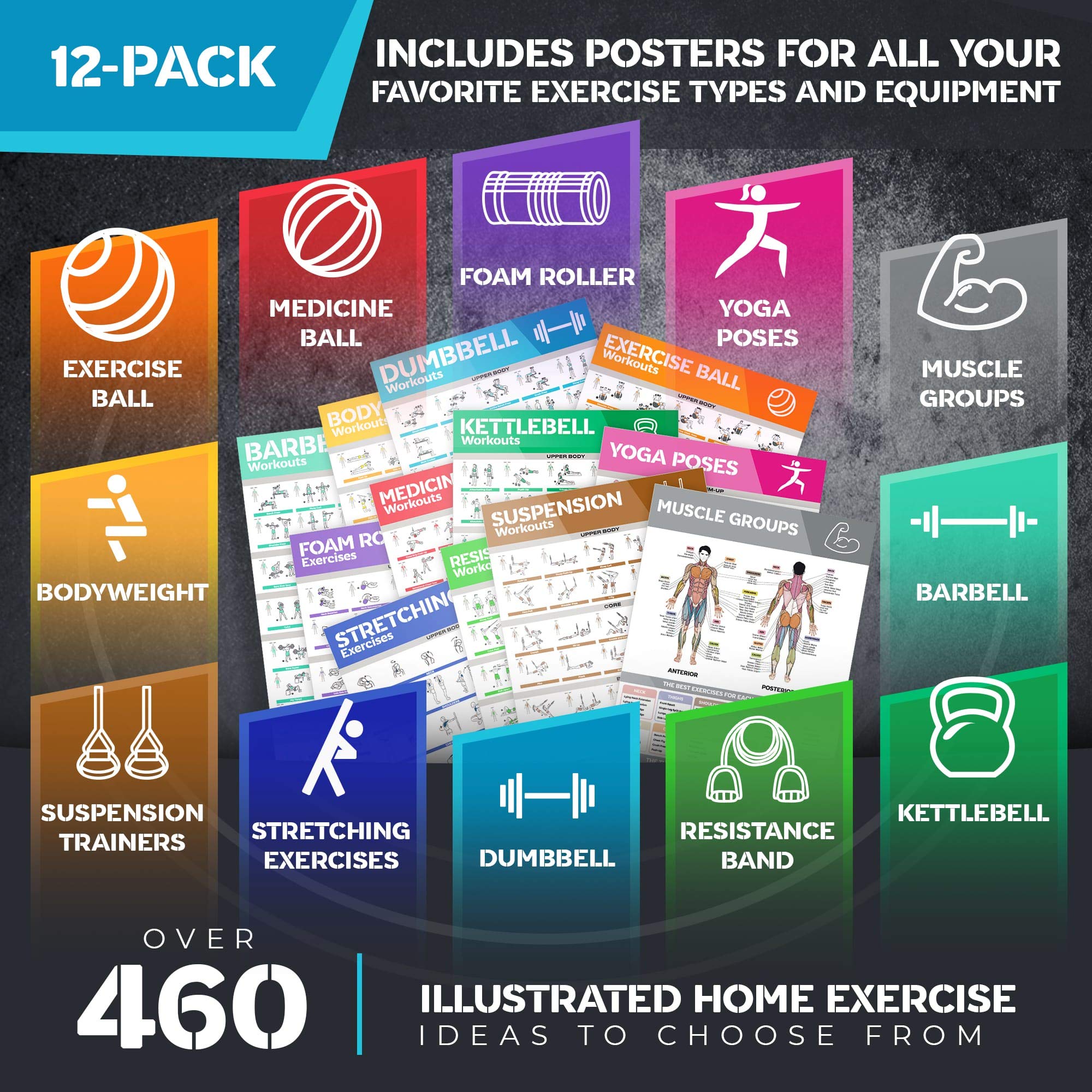 Buy 12-Pack Laminated Large Workout Poster Set - Perfect Workout ...