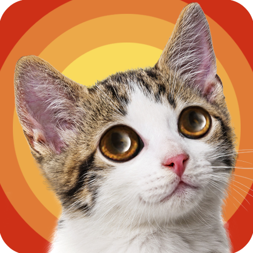 Cat Adventure Hidden Object - App on Amazon Appstore
