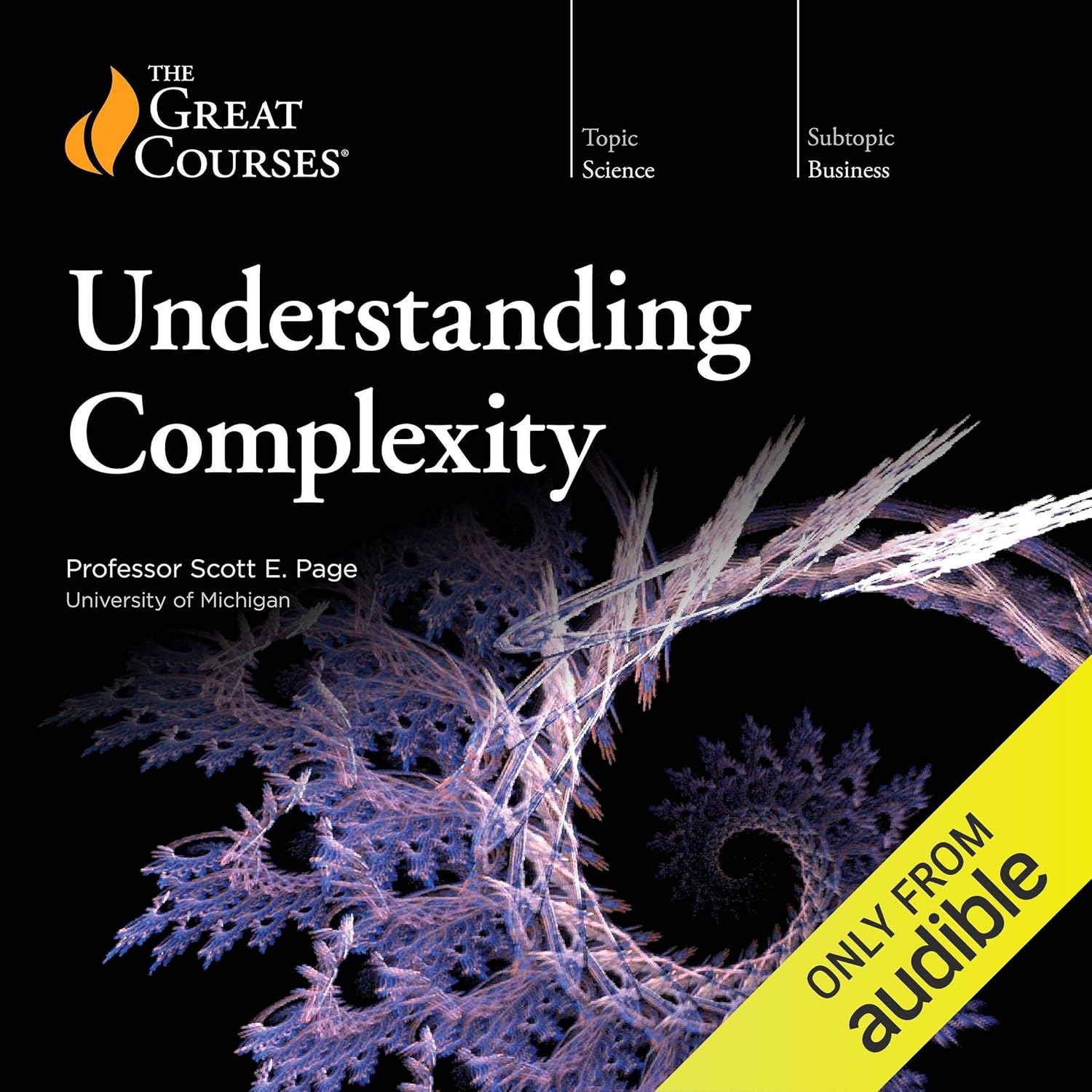 Amazon.com: Understanding Complexity (Audible Audio Edition): Scott E ...