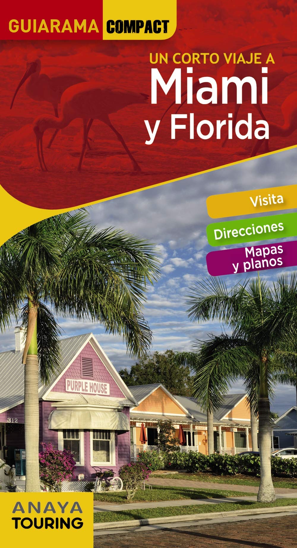 Miami y Florida: Costa, Edgar: 9788499359922: Amazon.com: Books