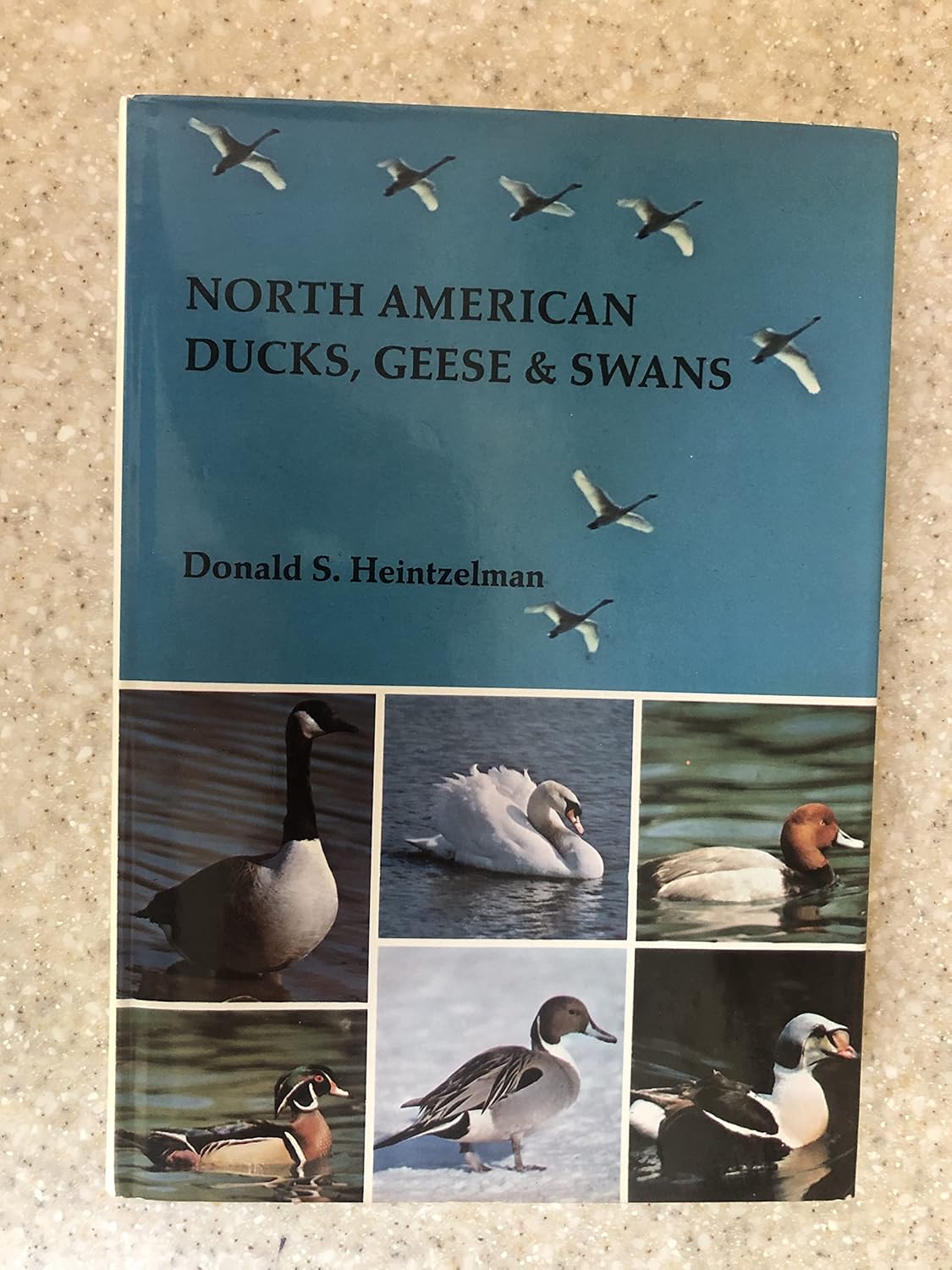 North American Ducks, Geese and Swans (Winch): Heintzelman, Donald S ...