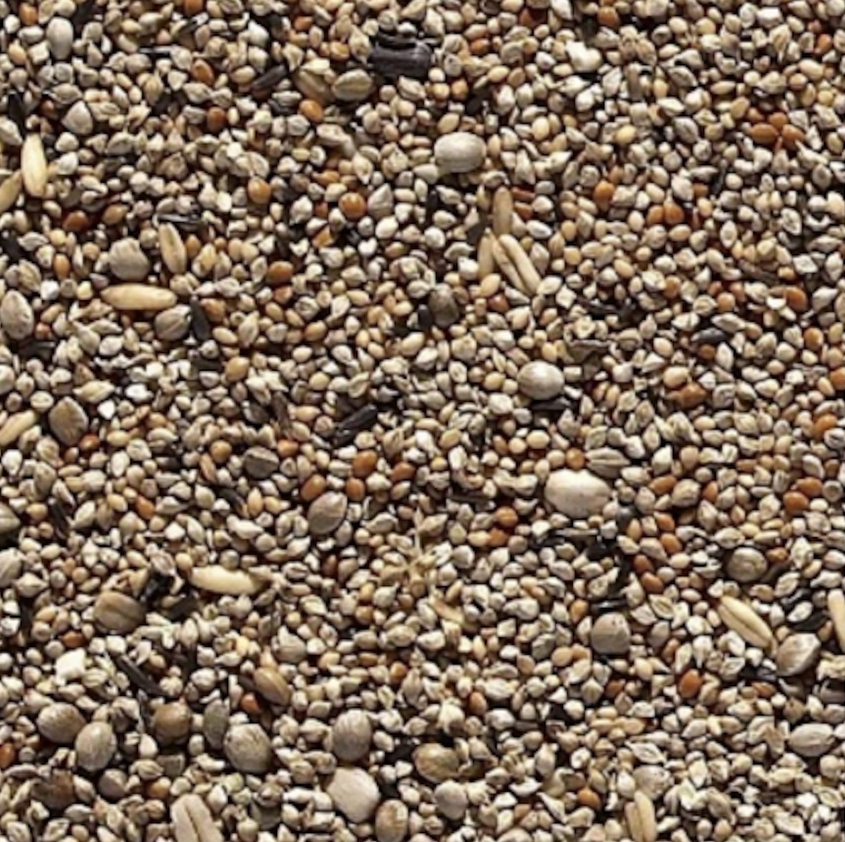 Johnston & Jeff Scottish Tonic Type 88 12.75Kg - Budgie / Canary Seed ...