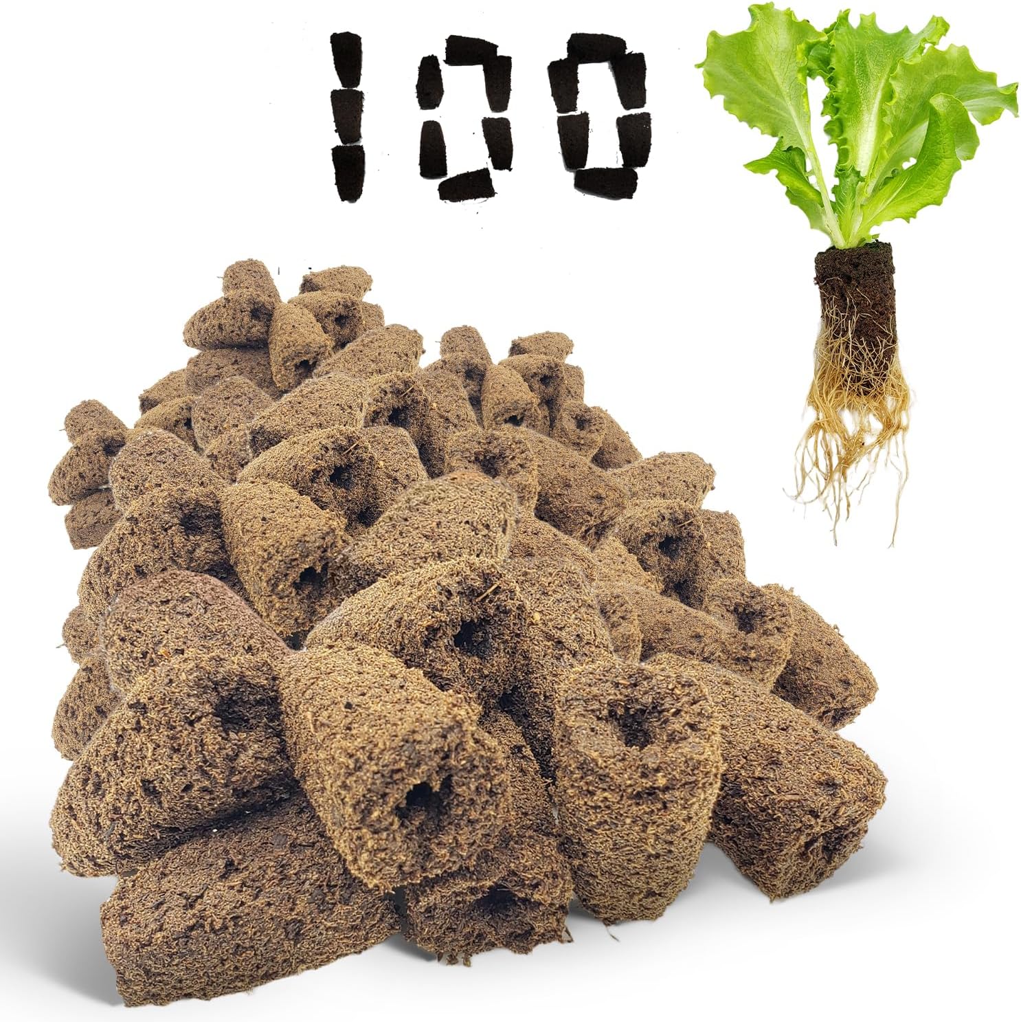 BioPlug Germination Rooter Cube - 100pc Universal Root Growth Sponge ...