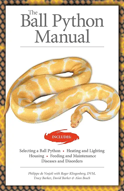 Decoding The Beautiful Patterns: A Guide On How To Identify Ball Python ...