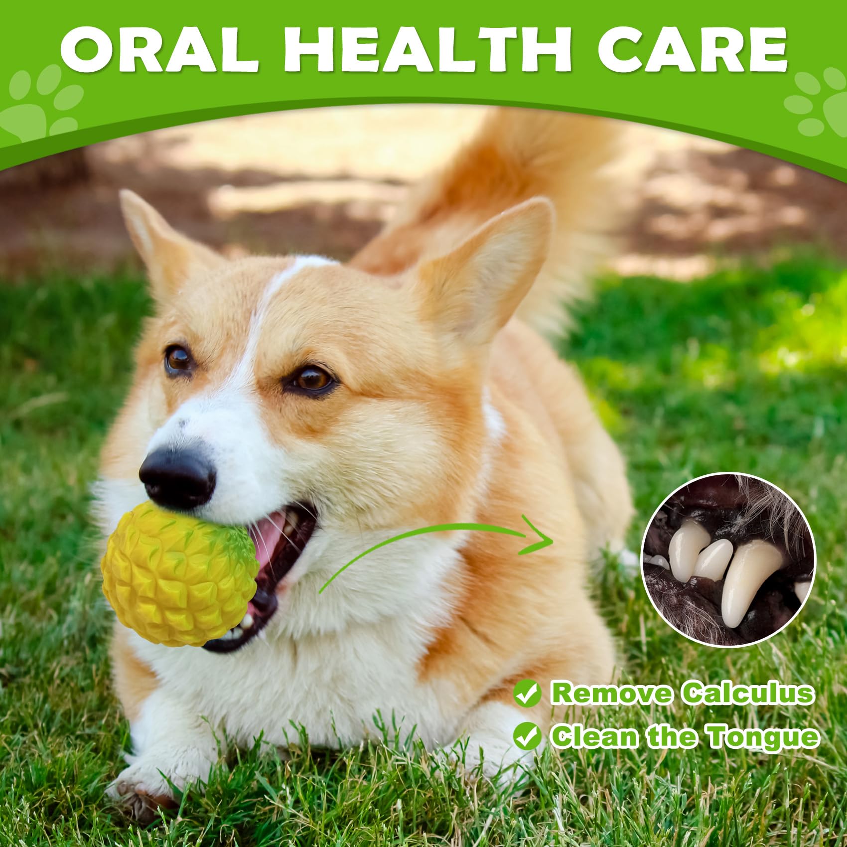 Snapklik.com : Giggle Ball 2.75in Giggle Ball For Dogs Giggle Ball ...