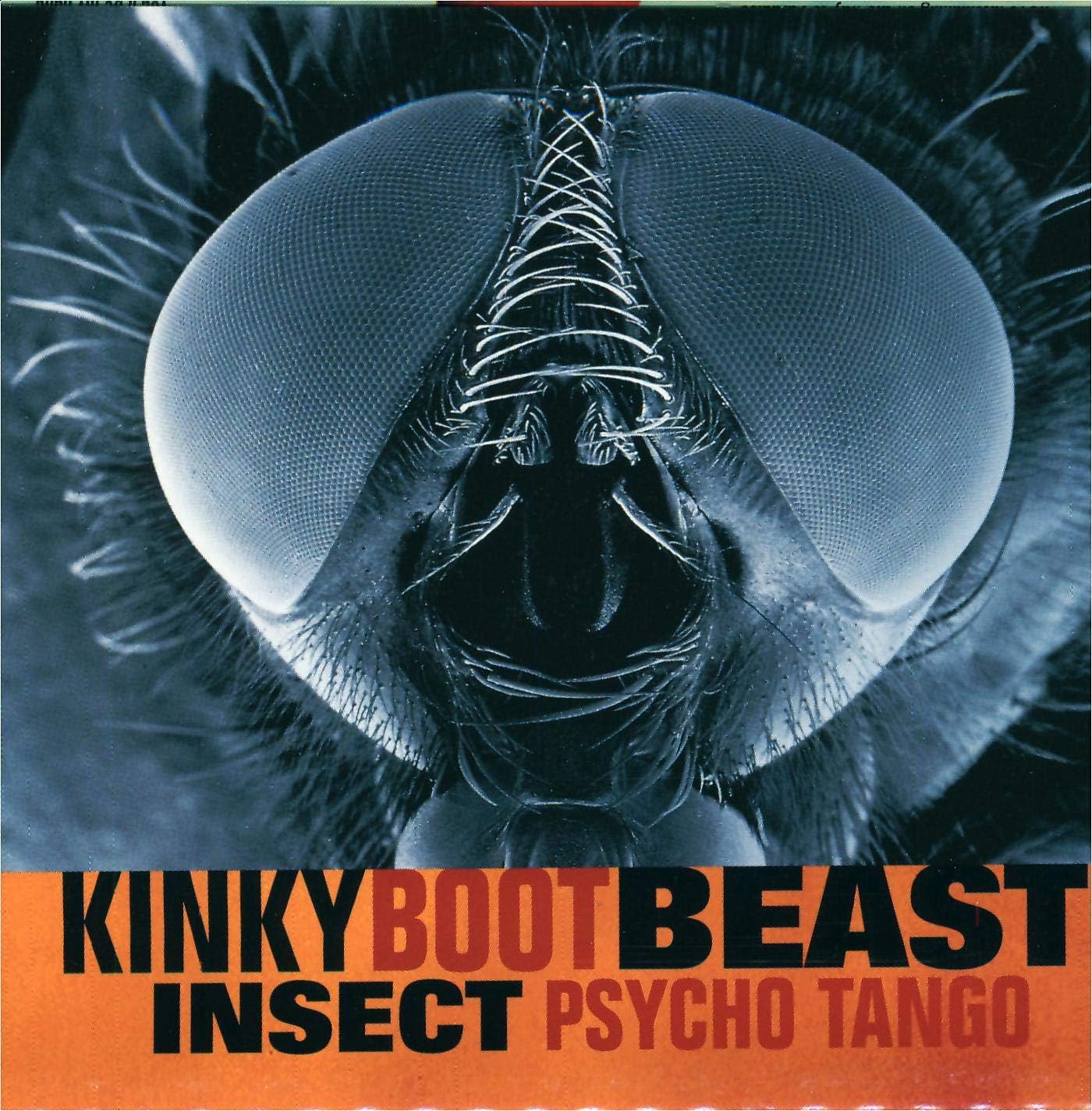 Insect psycho tango: Amazon.ca: Music