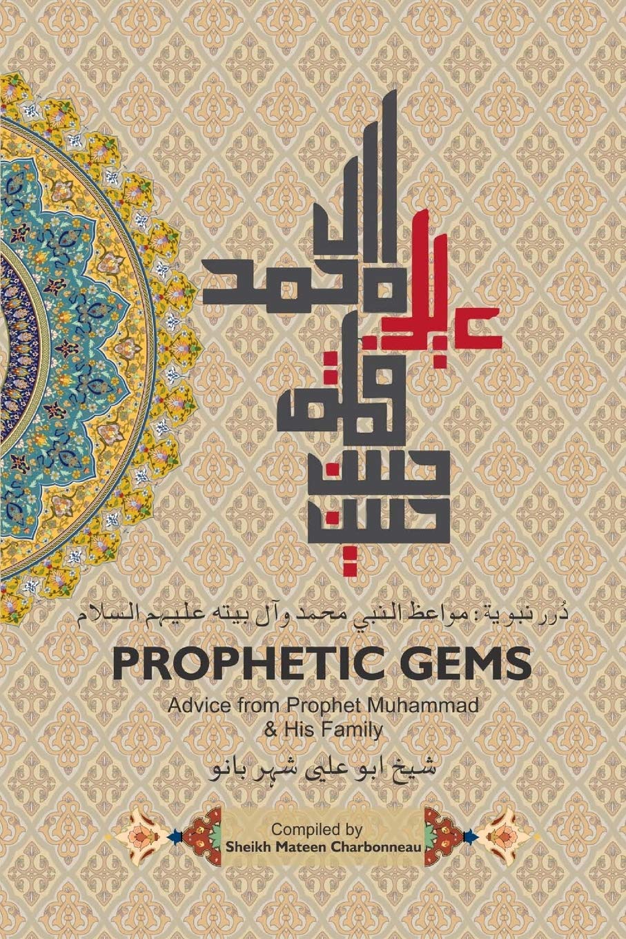 Buy Sheikh Mateen CharbonneauProphetic Gems: Advice from Prophet ...