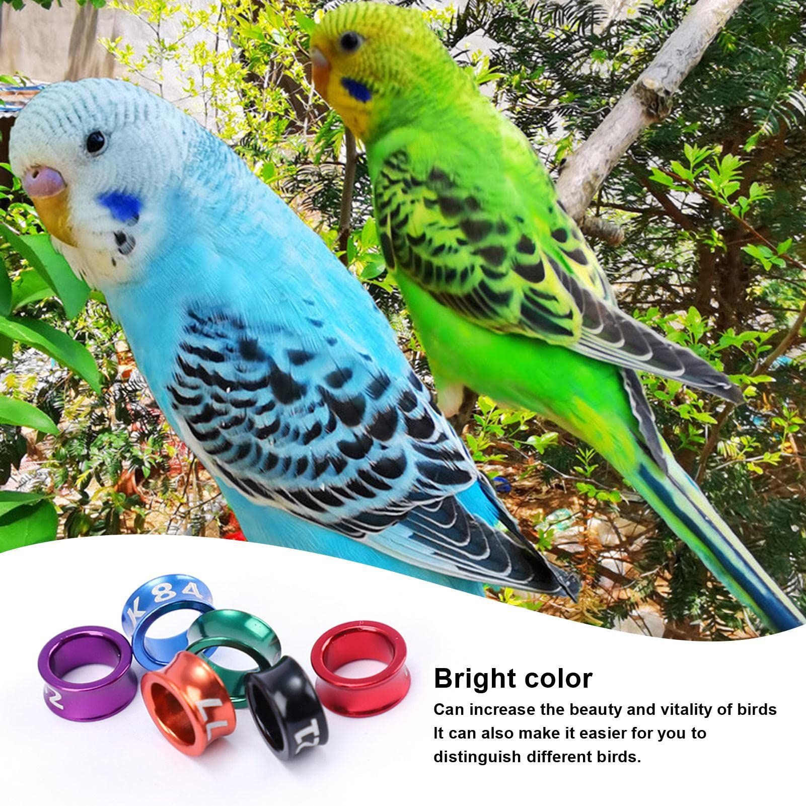 Bird Identification By Color Europe's Birds | Princeton University