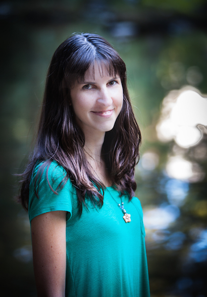 Amazon.com: Stephanie Torres CHC: books, biography, latest update