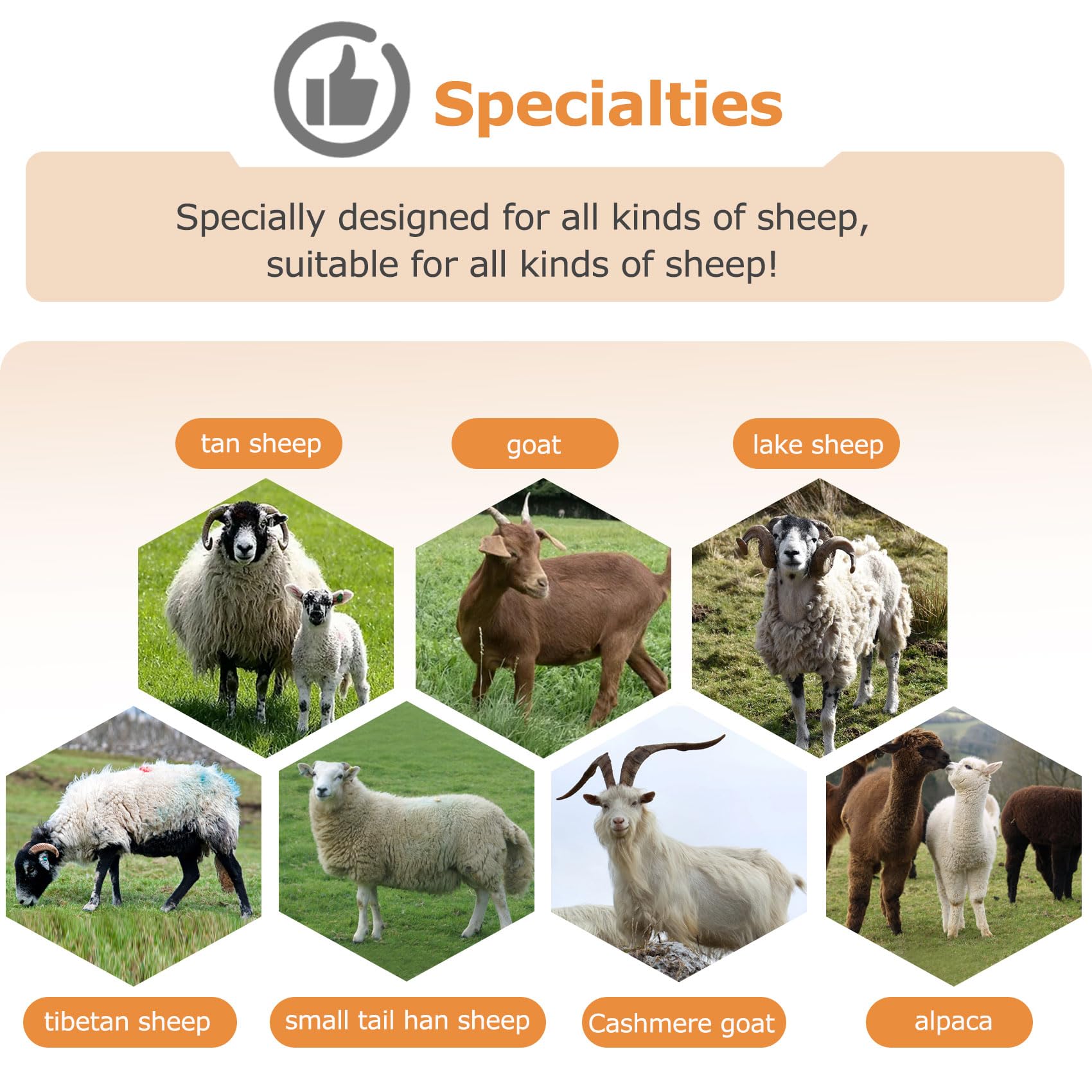 Snapklik.com : 21V Cordless Electric Professional Sheep Shears ...