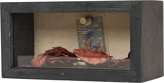 Amazon.com: Increased Fire Shadow Box Frame 3x6 Shadow Box Display Case ...