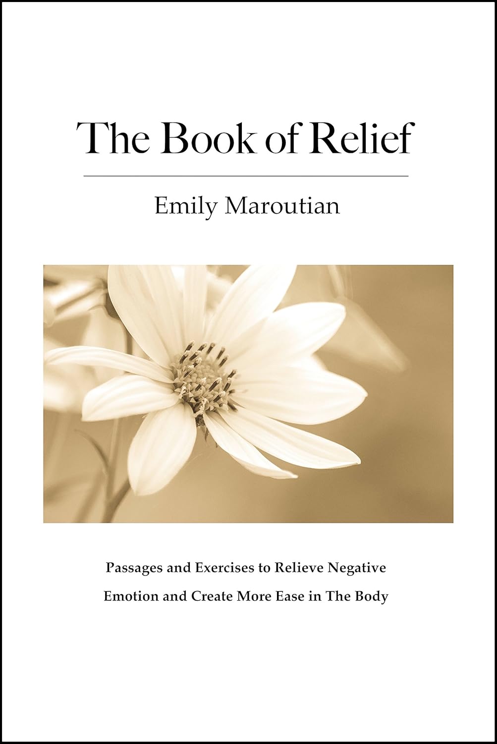 The Book of Relief: Passages and Exercises to Relieve Negative Emotion ...