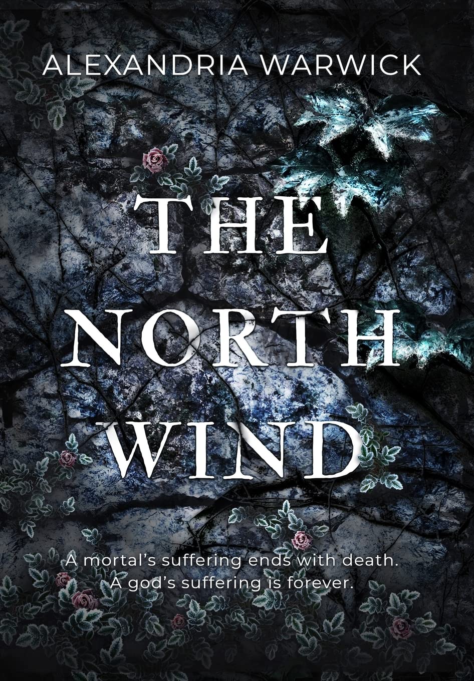 Amazon.com: The North Wind (1): 9781733033466: Warwick, Alexandria: Books