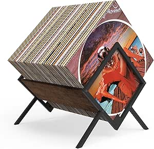 Amazon.com: Xstermism Vinyl Record Holder, 80-100 LP Vinyl Record ...