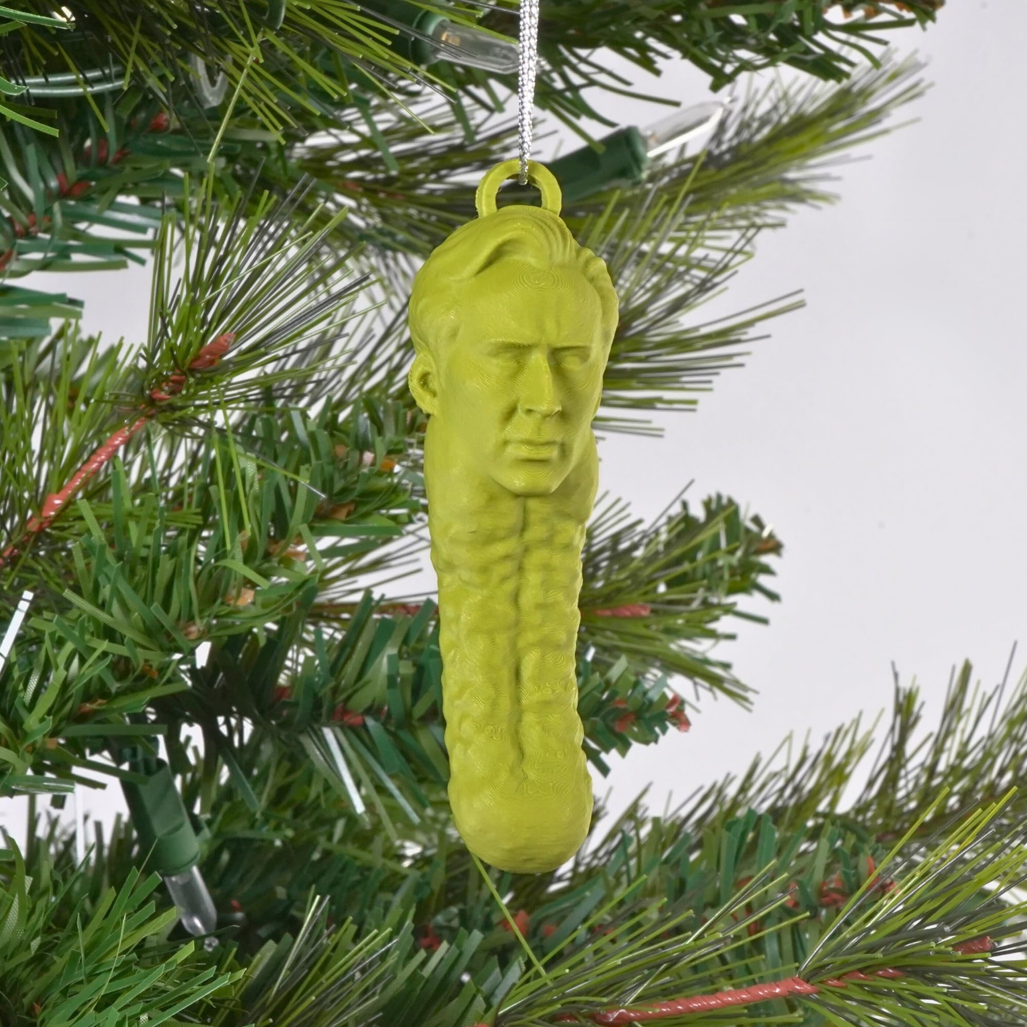 Amazon.com: MO'FUN Picolas Cage Funny Christmas Ornament - Pickle Nick Nicolas Cage Pickle ...
