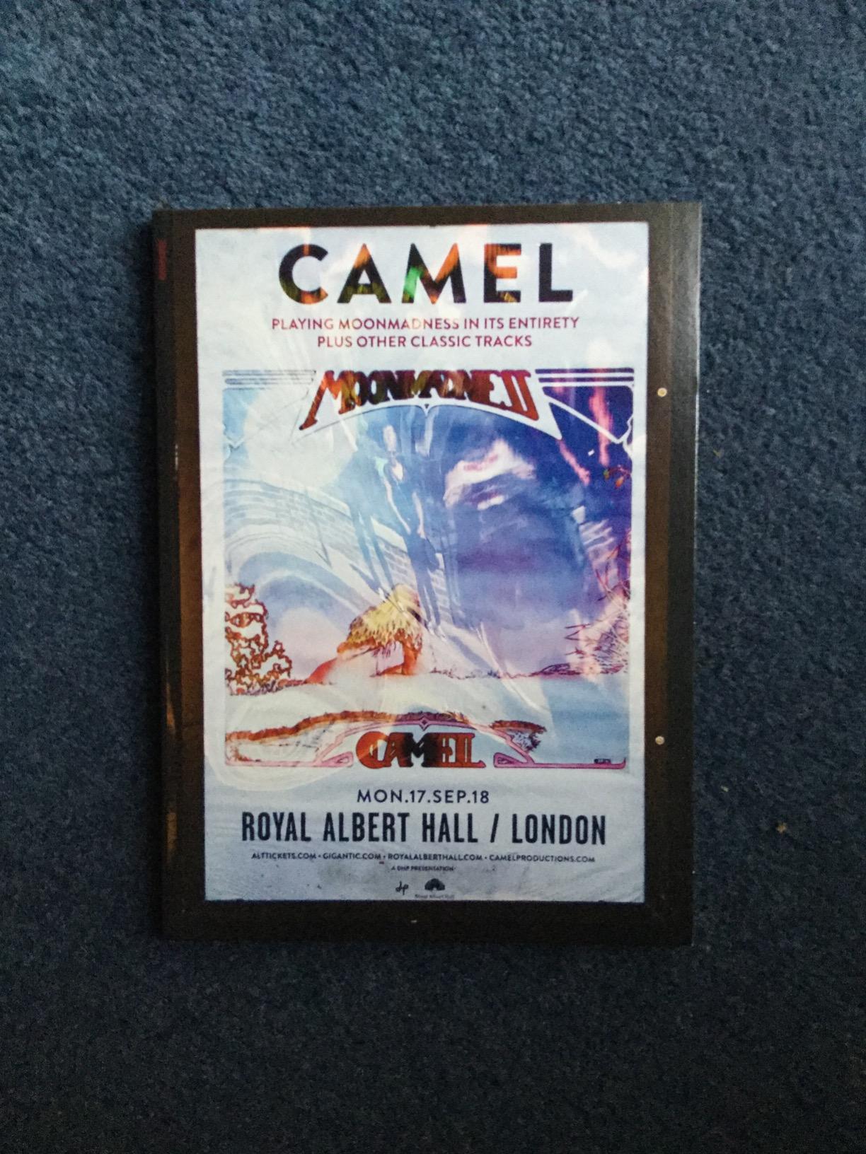 CAMEL- LIVE AT THE ROYAL ALBERT HALL 17 Sept 18: Amazon.co.uk: Camel ...