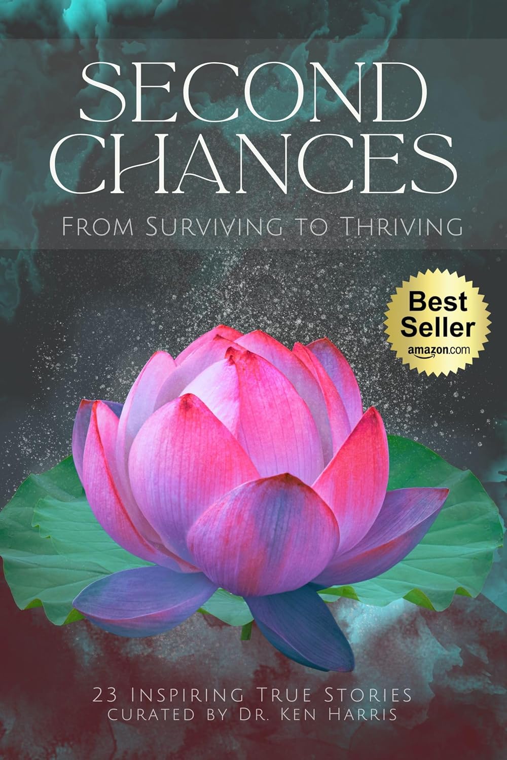 Second Chances: From Surviving to Thriving - Kindle edition by Harris ...