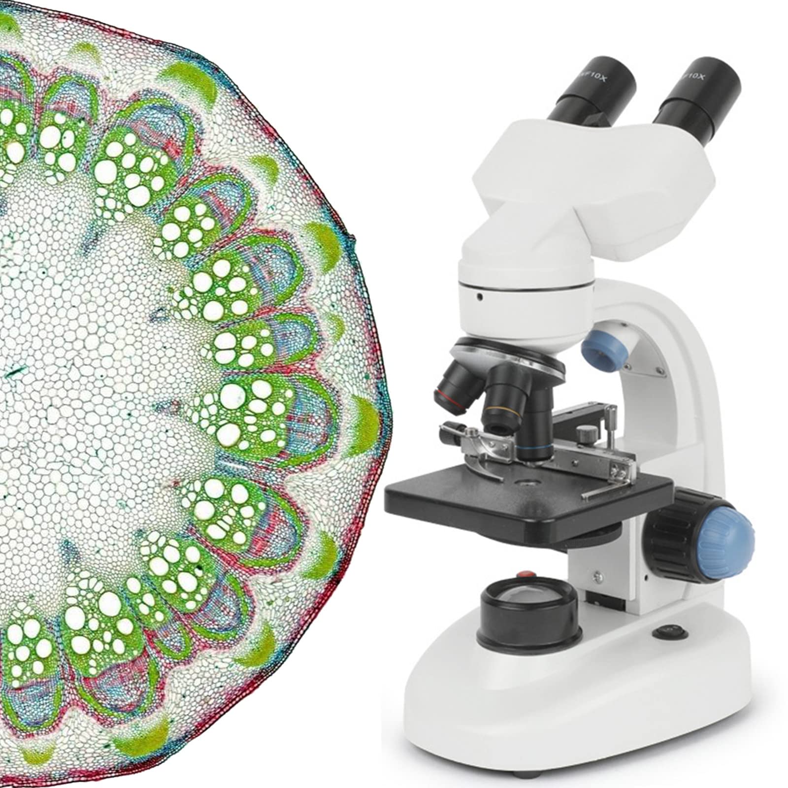 40x 1000x Magnification Led Binocular Compound Microscope Professional ...