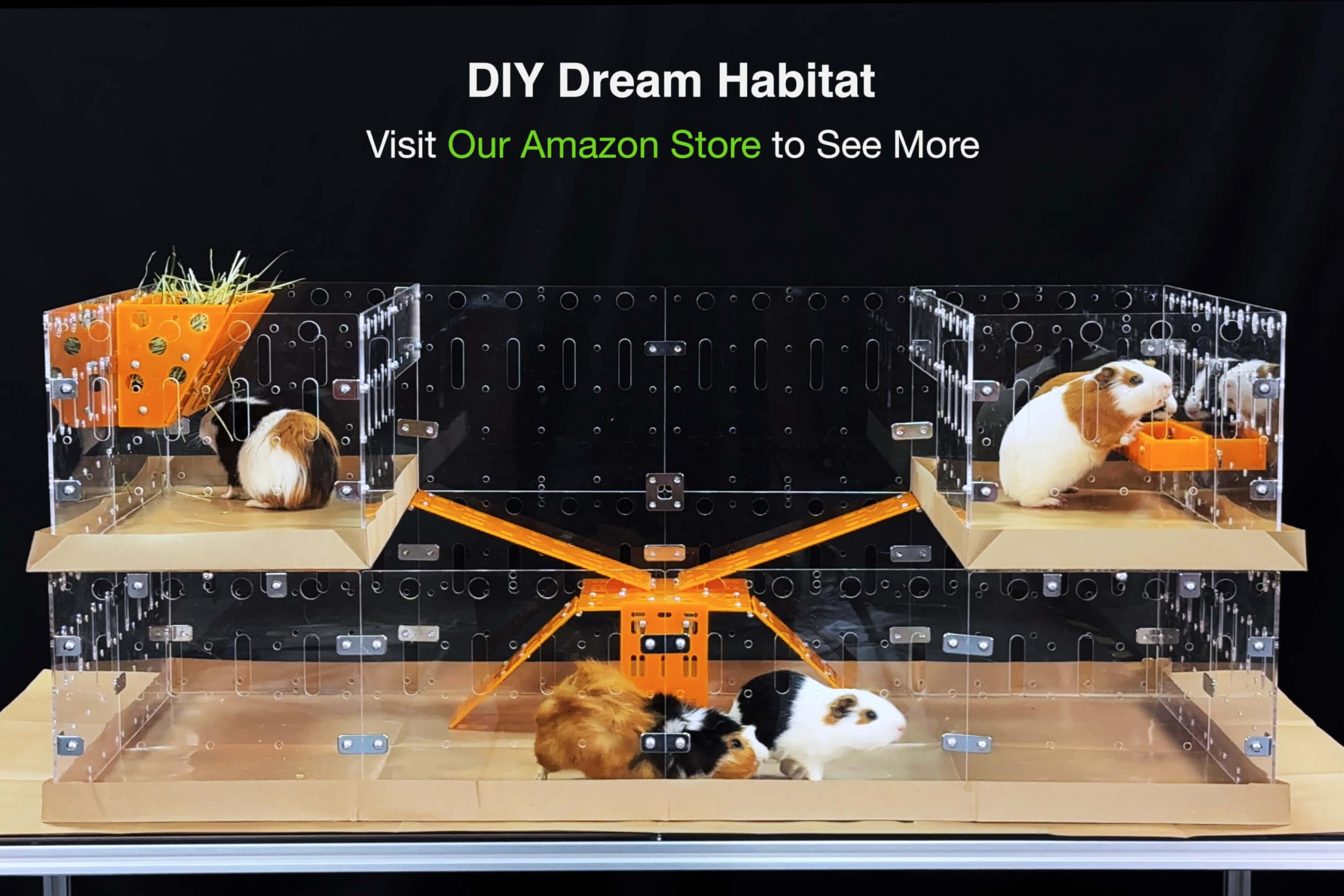 GuineaLoft Acrylic Cage (Model-A) – Large 4x2ft Habitat for Guinea Pigs ...