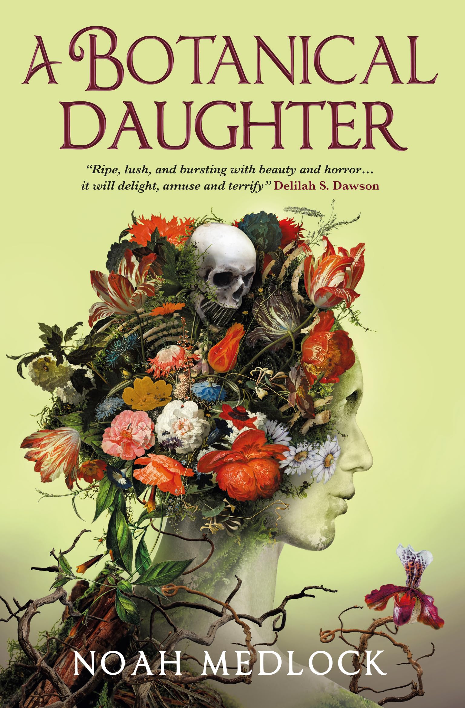 Amazon.com: A Botanical Daughter: 9781803365909: Medlock, Noah: Books