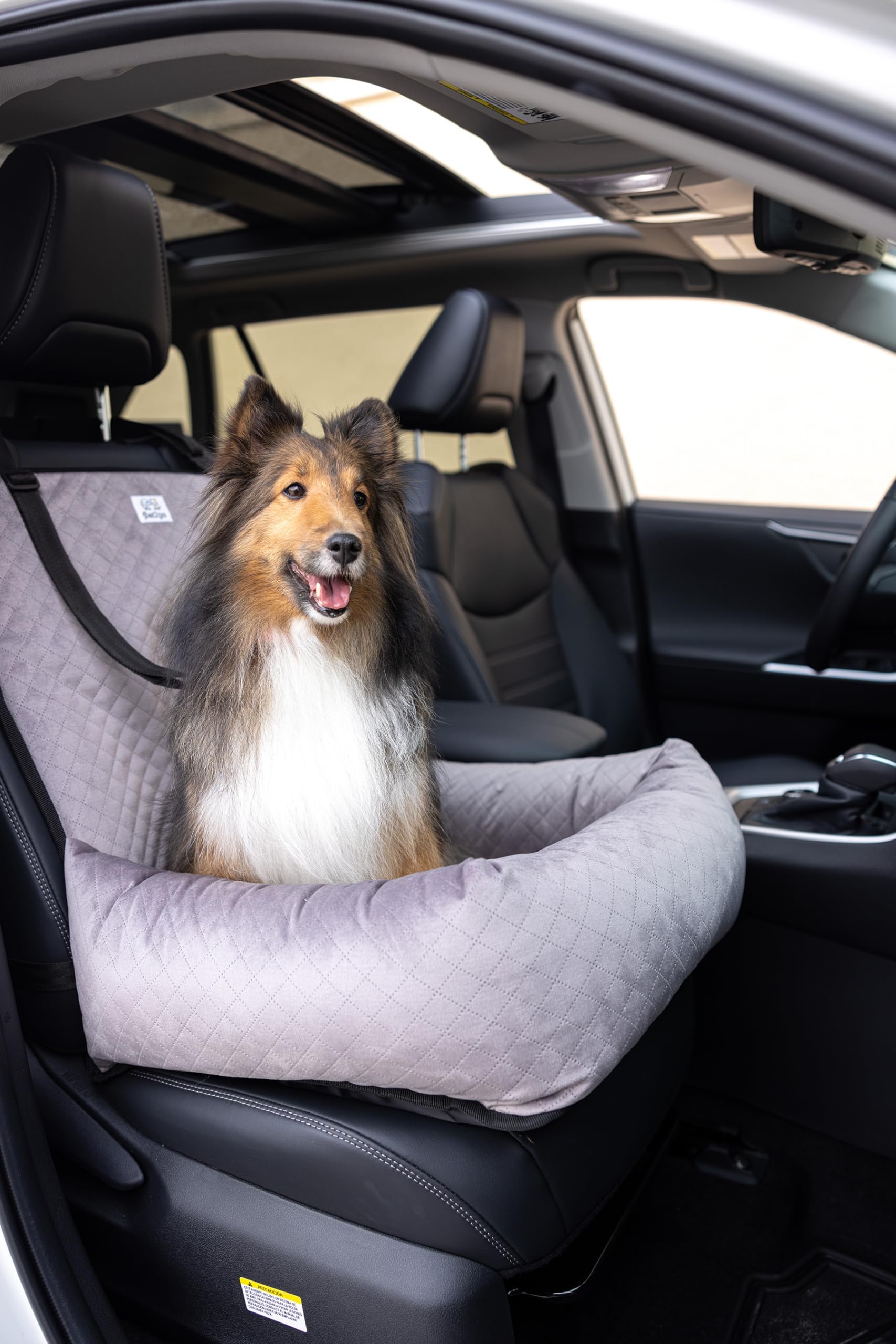 pet2go® Asiento de Coche para Perro o Mascota, Paseo, Auto, Viaje ...