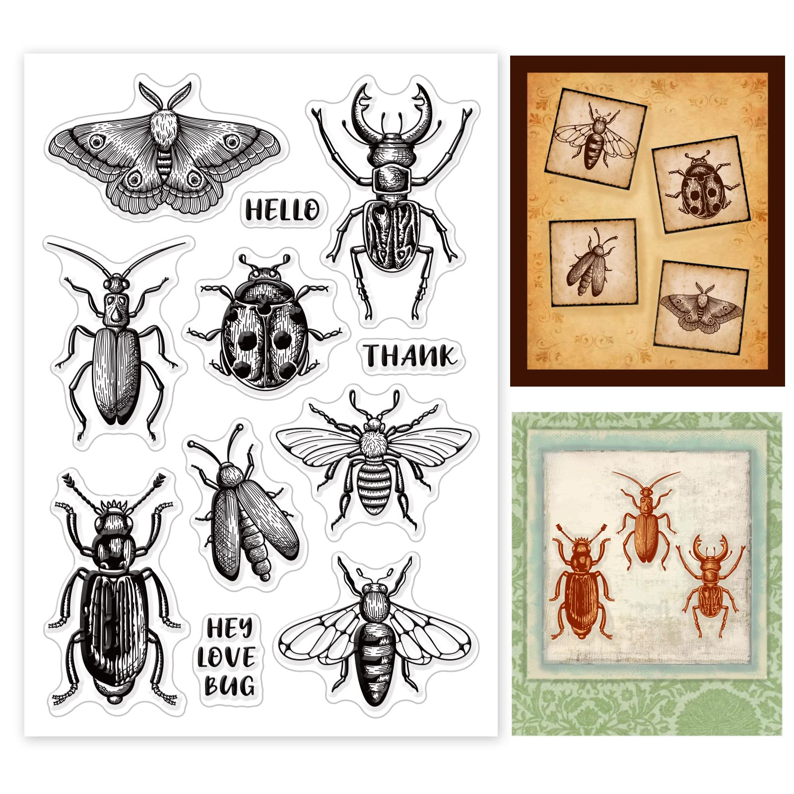 Amazon.com: PH PandaHall Insects Stamp Sets, Beetles Clear Seal Stamps ...