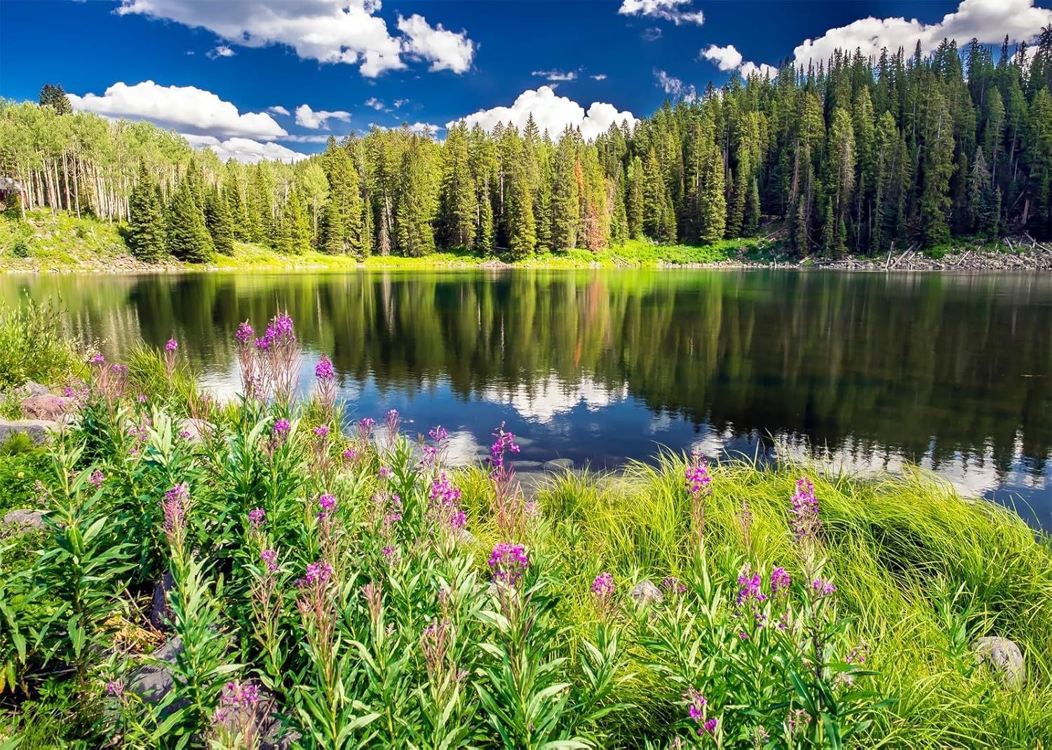 Amazon.com : Loccor 12x8ft Fabric Natural Lake Backdrop Mesa Lakes with ...