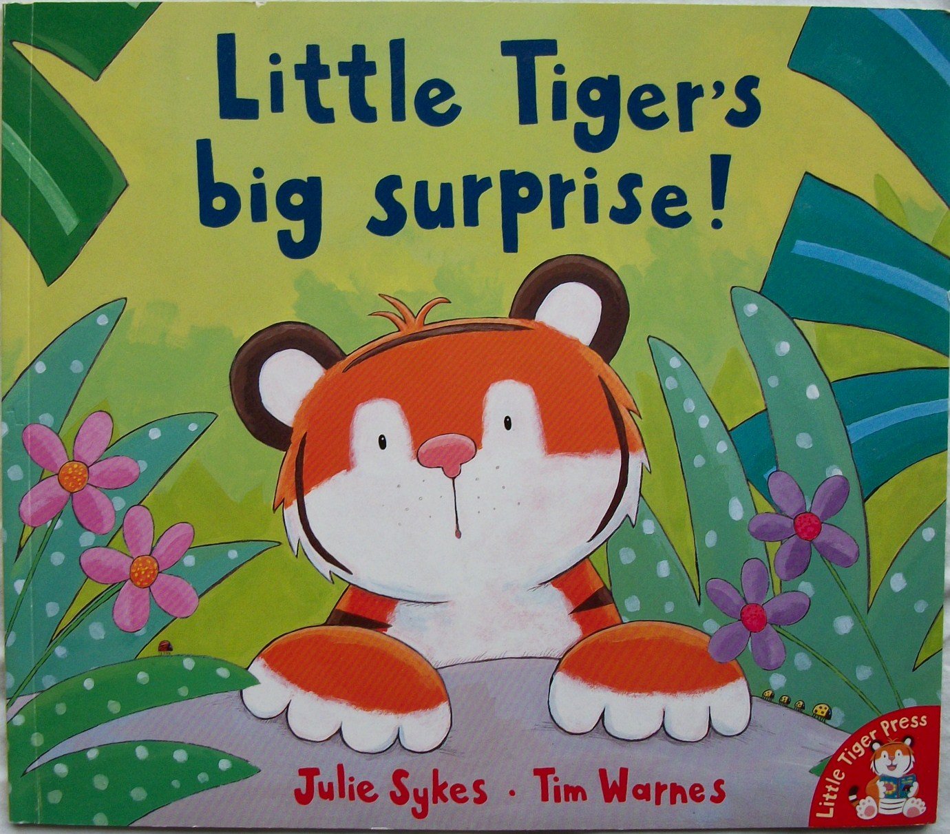 Amazon.com: Little Tiger's Big Surprise!: 9781854304919: julie-sykes: Books