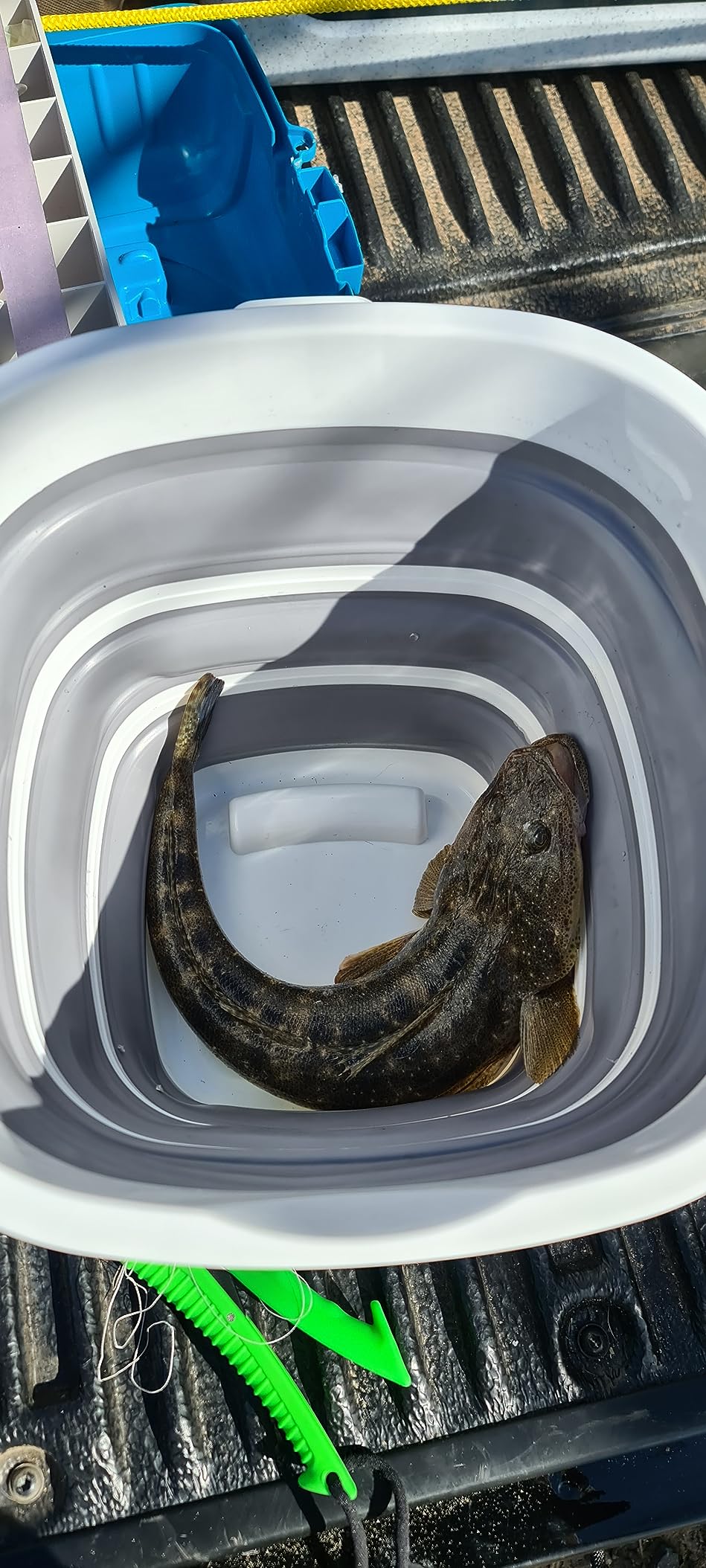 Seymour's Collapse-A Bucket Square 10L – Foldable, Durable, Lightweight ...