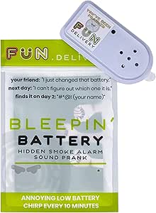 Amazon.com: FUN delivery Bleepin' Battery: Hidden Annoying Smoke Alarm ...