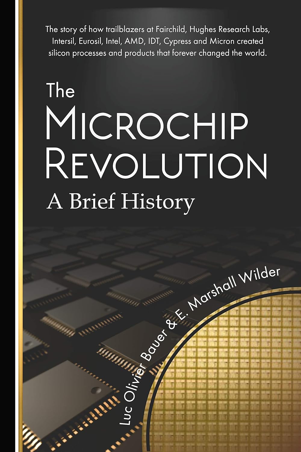Amazon.com: The Microchip Revolution: A brief history eBook : Bauer ...
