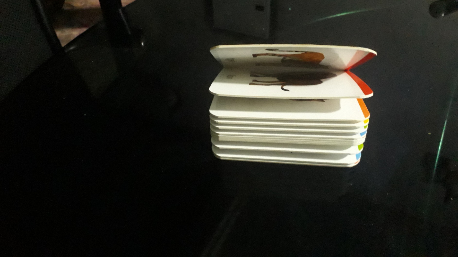 My First Book of Wild Animals: First Board Book : Wonder House Books ...