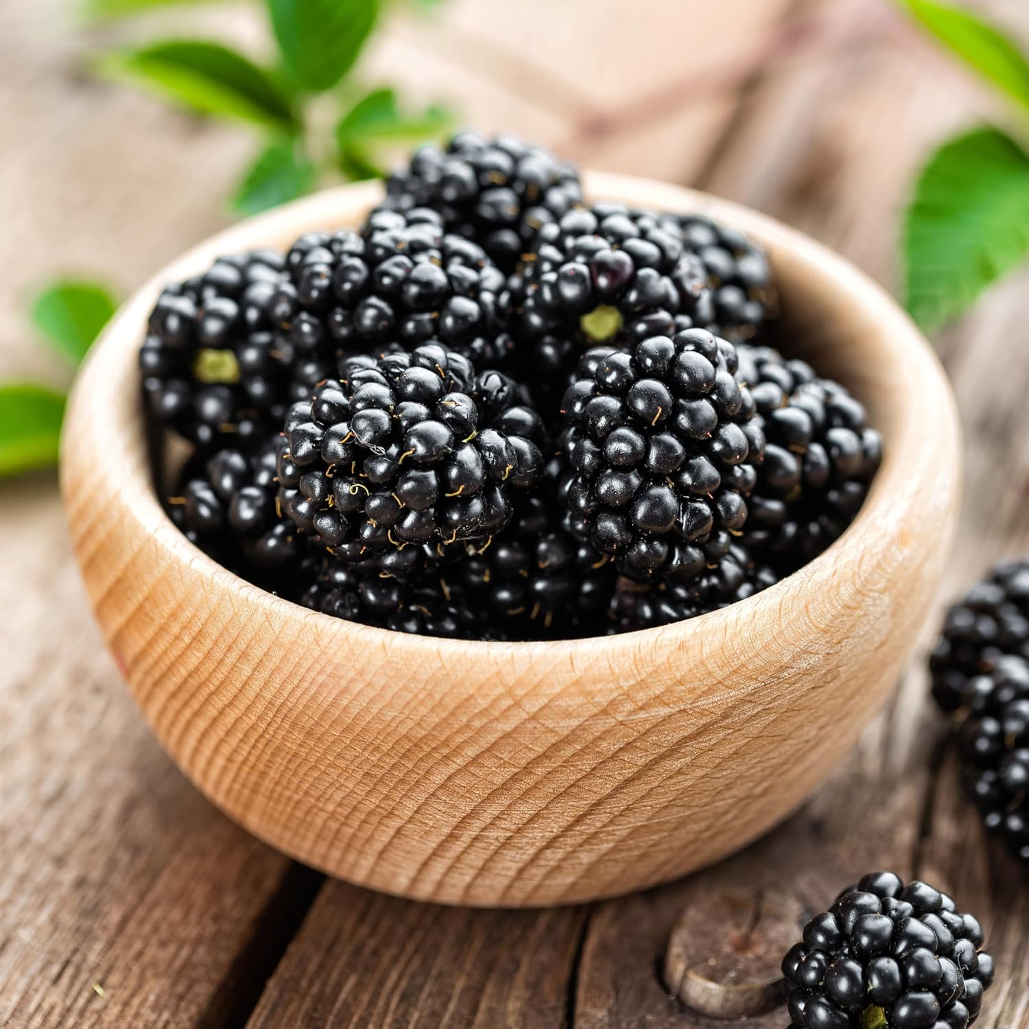 Amazon.com : KVITER 50 Black Raspberry Seeds (Rubus Occidentalis ...